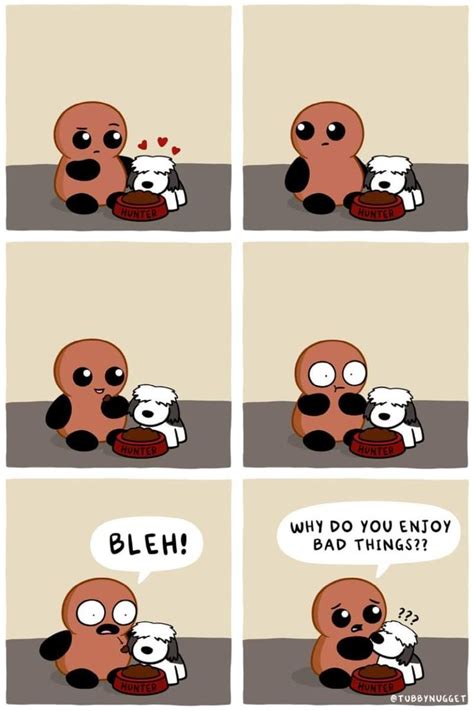 Pin By Alizia Dsouza On Cutie Pie Funny Doodles Cute Jokes Cute