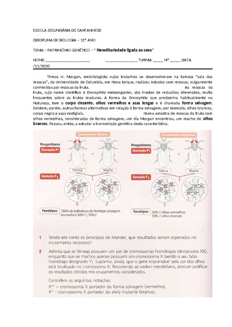 Hereditariedade Ligada Ao Sexo Com Correção Escola SecundÁria De Cantanhede Disciplina De
