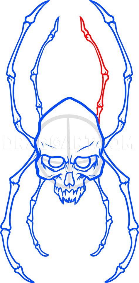How To Draw A Spider Skull Tattoo Drawing Step By Step By Dawn