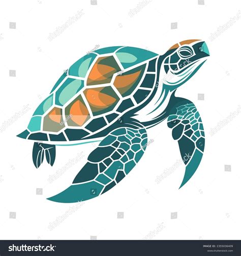 Turtle Vector