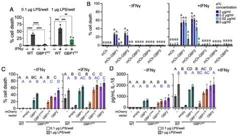 PNAS丨LPS 聚集蛋白 GBP1 和 GBP2 都足以增强体内和离体的 caspase 4 活化 知乎