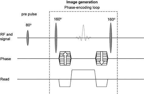 Schematic Drawing Of The Truefisp Sequence Download Scientific Diagram