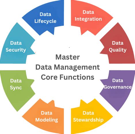 Five Components Of Data Governance Master Data Management Data