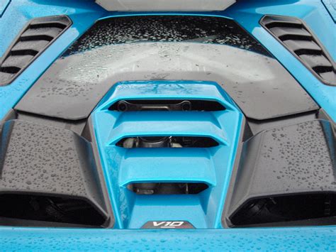 Pentax Optio S12 Jankuary Camera That Meows 35mmc