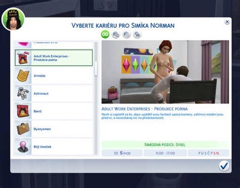 Adult Work Enterprises Pornography Career 2 7 5 Czech Translate