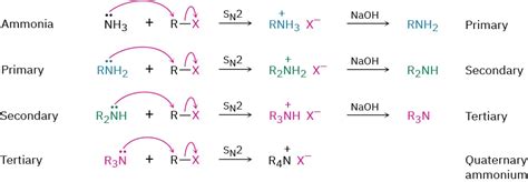 24 6 Synthesis Of Amines Organic Chemistry Openstax