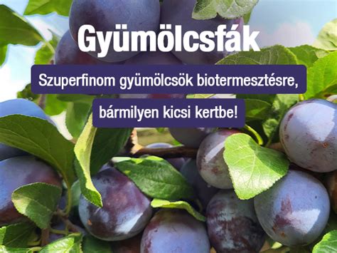 Bio lemosó permetezés BioKiskert