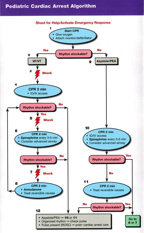 Cardiac Arrest Algorithm 2018 Division Of Global Affairs
