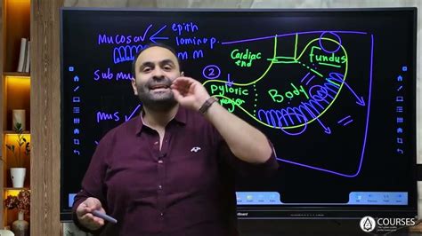 histology git stomach part1 youtube