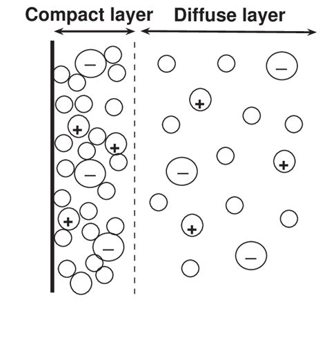 3 Schematic Of The Structure Of The Double Layer Immediately Adjacent
