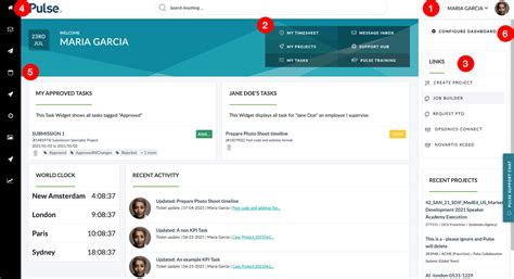 Navigating Pulse Pulse Project Management Software