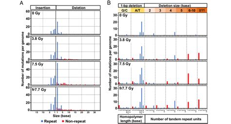 Size Distributions And Repeat Number Profiles Of Small Indels A The