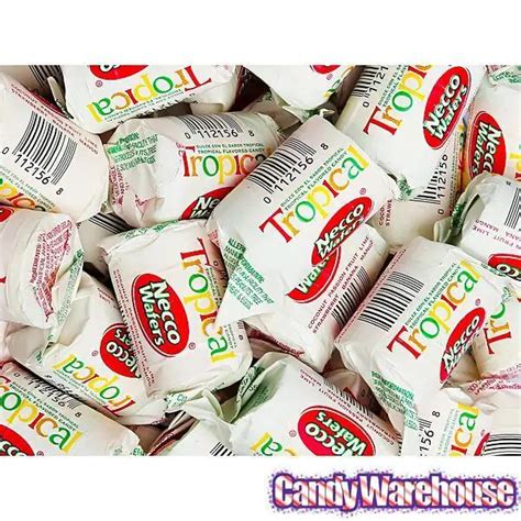 Necco Wafers Candy Mini Rolls Tropical 150 Piece Tub Candy Store