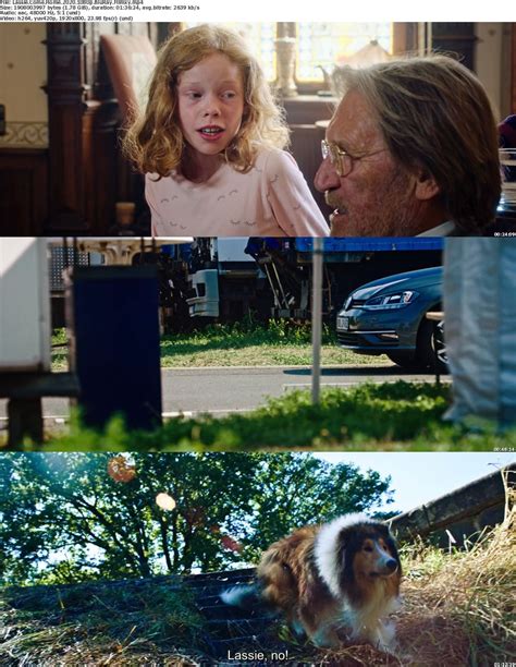 Watch Lassie Come Home 2020 Full Movie On Filmxy