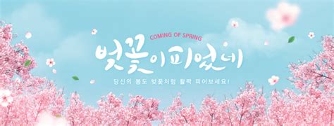 디자인다소 봄배경현수막 616