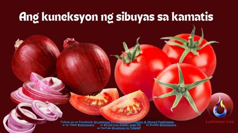 Ang Kuneksyon Ng Sibuyas Sa Kamatis One News Page VIDEO