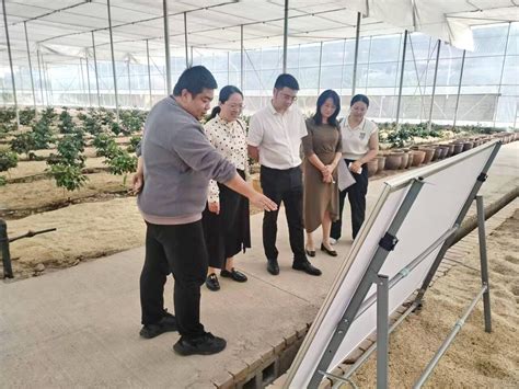 国家天然橡胶产业技术体系专家到学院调研交流 云南农业大学热带作物学院