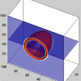 Cross Sections Through A Shell Download Scientific Diagram