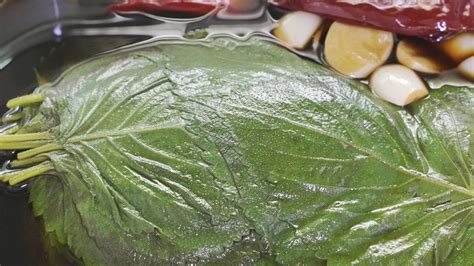 깻잎장아찌 만들기 양념장 황금 비율로 10배 더 맛있게 깻잎장아찌 만드는 법