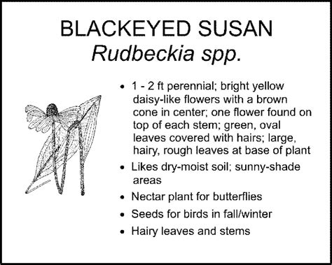 Blackeyed Susan Smart Garden Signs