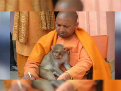 Uttar Pradesh Cm Yogi Adityanath Lesser Known Stories जब सीएम योगी