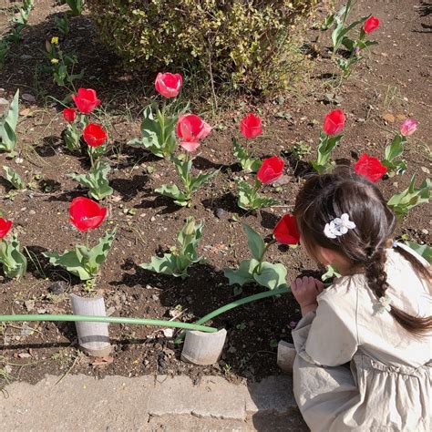 春っていいね 年子姉弟の子育てブログ