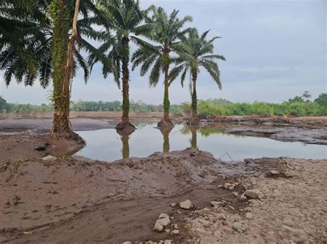 El Progreso Se Declara En Alerta Máxima Por Amenaza De Tormenta Julia