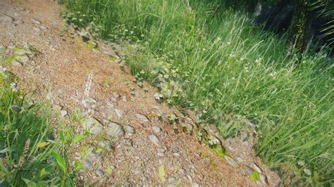 Pfuscher 2020 Picturesque Enb Veydosebrom Grass At Skyrim Special Edition Nexus Mods And Community