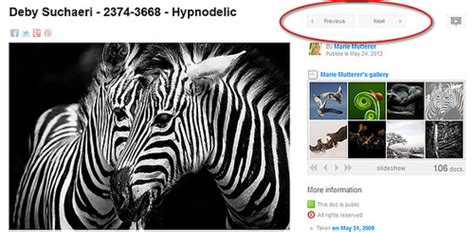 Ipernity New Functions To Discover Home KOoLiNuS