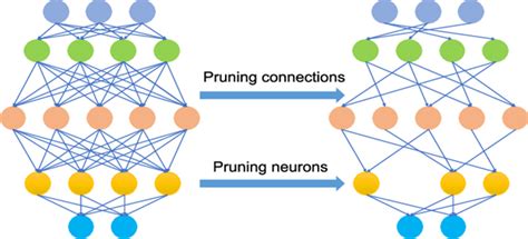 Network Pruning Comprehensively Neural Networks Are Both By Trishla