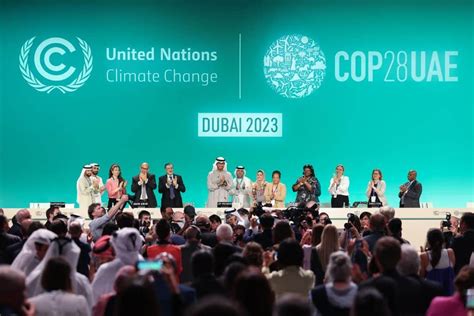 Inside COP A Deep Dive Into The UN Climate Conference Process