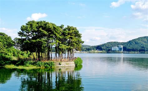 논산 출신 연예인 프로필 모음 아이돌 가수 배우 여배우 남배우 여자 배우 남자 배우 남자 연예인 여자 연예인 여가수 남가수 야구선수 축구선수 개그맨