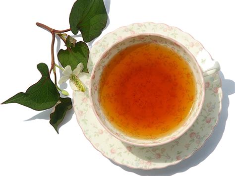 【薬膳の効能】どくだみの効能 ドクダミは熱をとり解毒する生薬 横浜 薬膳料理教室 胡桃の庭 「体質改善の薬膳専門教室」