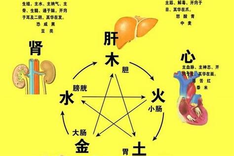 五行水太旺怎么办？五行水旺为忌如何化解起名若朴堂文化