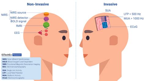 Visualizing Human Thought Idtechex Explores Brain Computer Interface