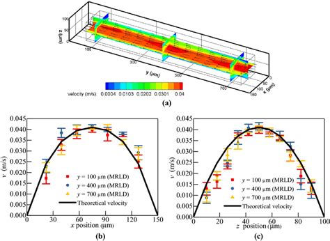 Comparison Of The Measured And Theoretical Velocity Through Mrld At The