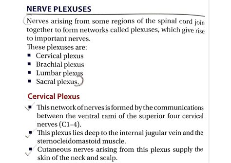 Solution Nerve Plexus Studypool