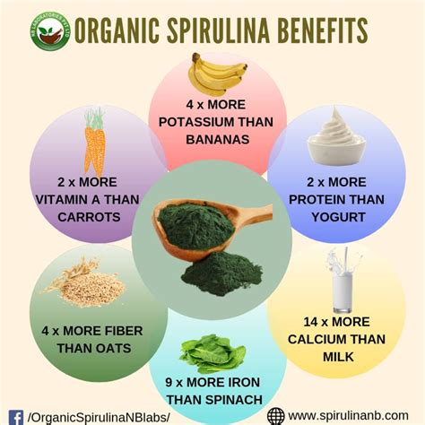 Organic Spirulina Benefits Spirulina Benefits Inflammatory Foods