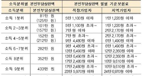 본인부담 초과 의료비 돌려준다 1인당 평균 136만원