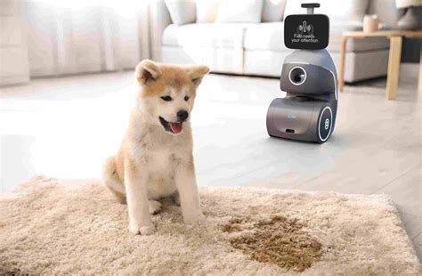 All The Robots We Met At Ces 2024 In One Place Cnet