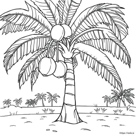Coconut Tree Colouring