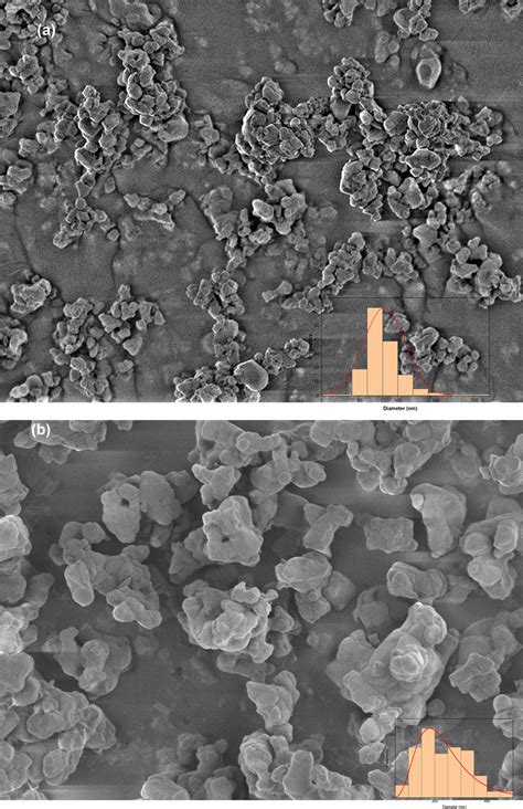 Fe Sem Image Of A Pure Barium Titanate And B 05 Ce Doped Barium