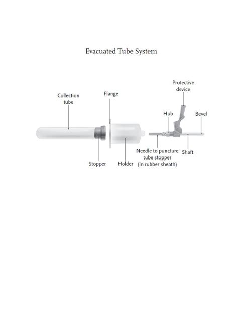 Phlebotomy Key Terms Cheat Sheet Pdf
