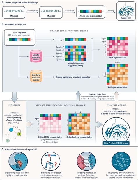 A Holy Grail — The Prediction Of Protein Structure Nejm Cedric Spak
