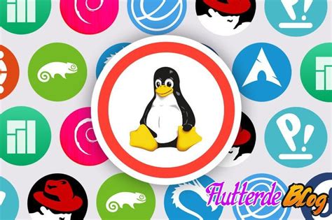 The Best Linux Distributions For Programmers In 2022 Rprogramming