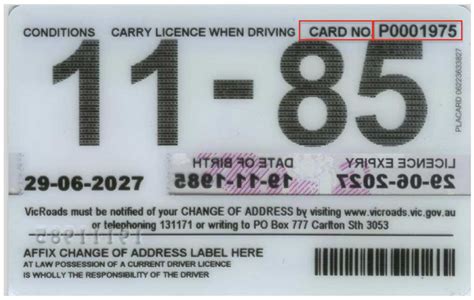 Comprehensive Guide To Driver Licences In Australia Right Drive