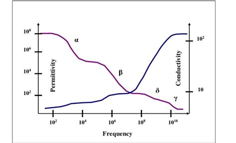 Complex Permittivity Spectrum Of Biological Cells α Dispersions Are To Download Scientific