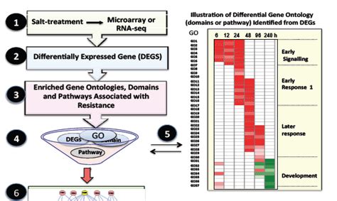 Designing Microarray And Rna Seq Experiments For Greater Systems