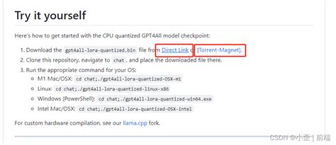 工具本地安装chatgpt，openaigpt4all Lora Quantizedexe Csdn博客