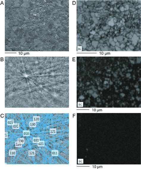 Electron Backscatter Diffraction Ebsd Results From The Petrified